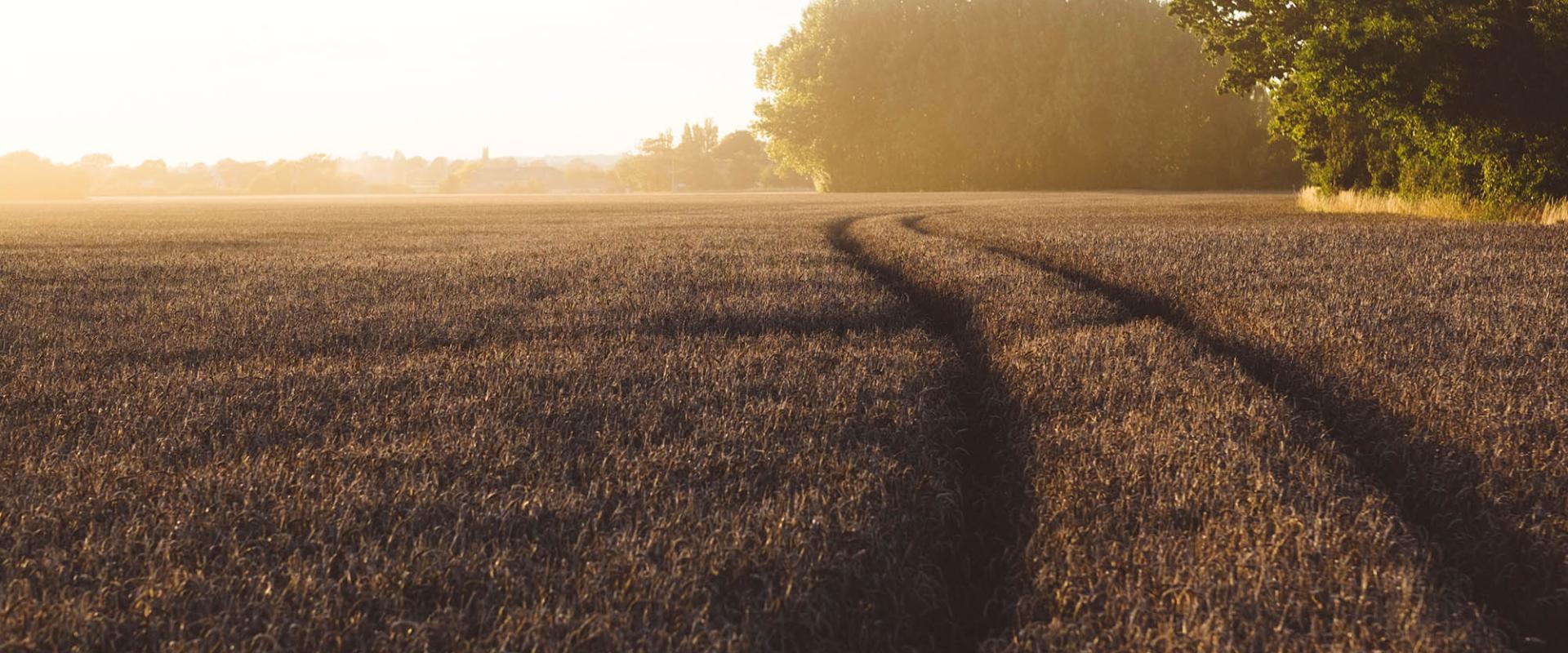 Home | Delta Asset Management