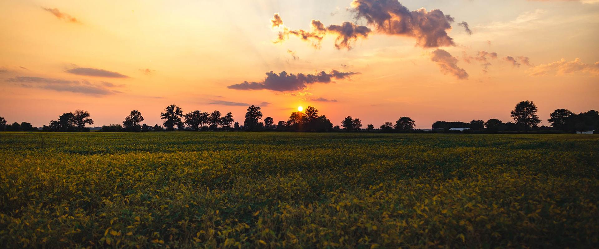 Client Login | Delta Asset Management